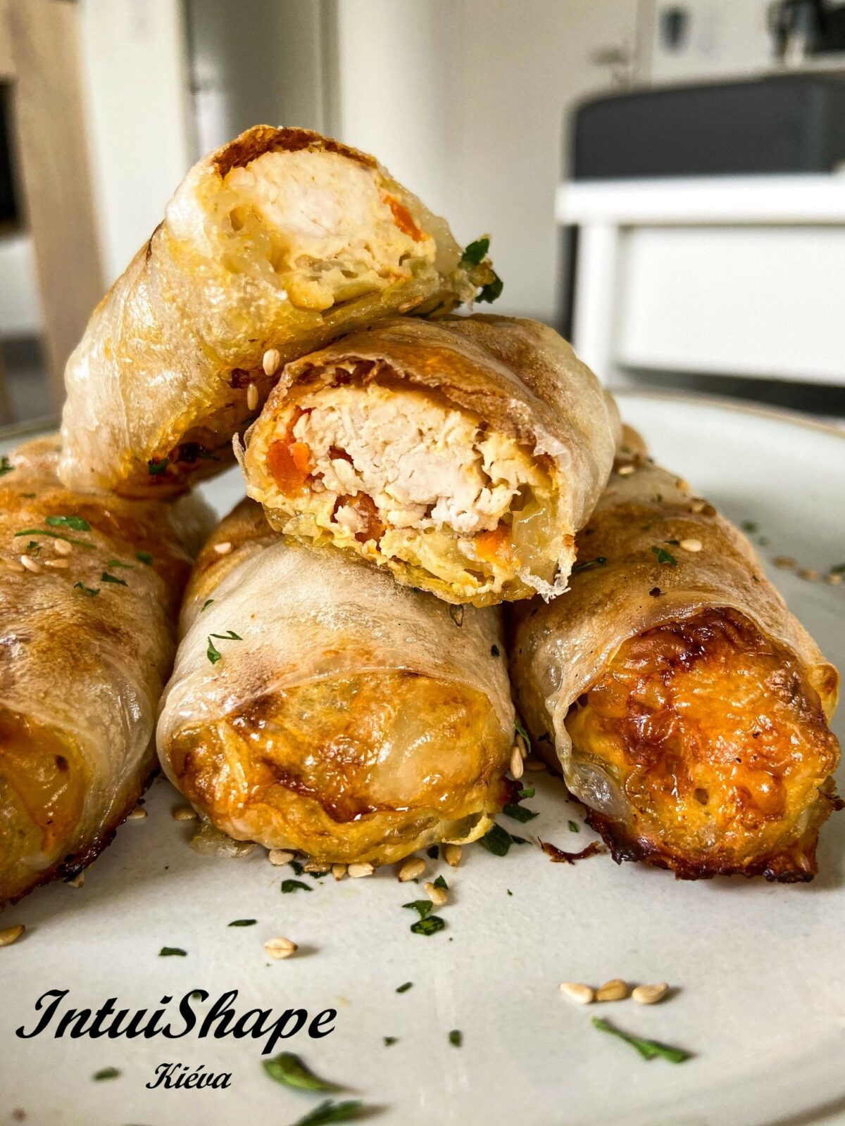 Nems poulet - IntuiShape